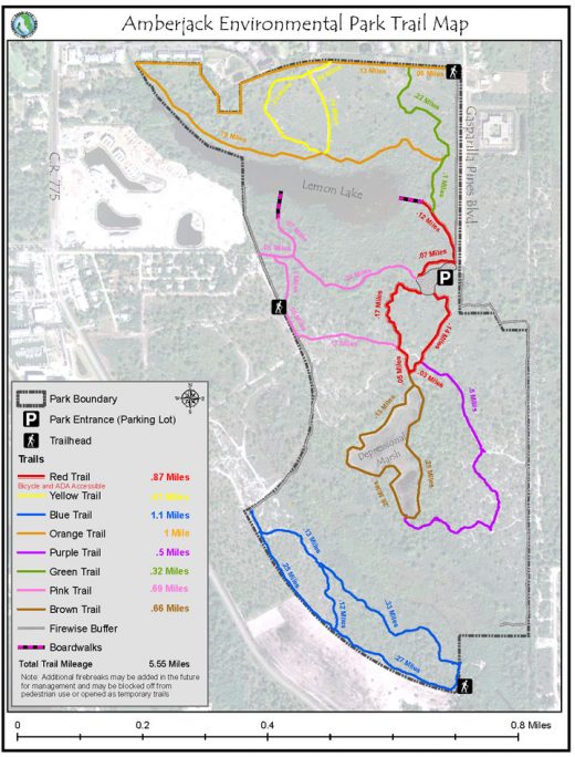 Amberjack Environmental Park – THE HAMMOCKS